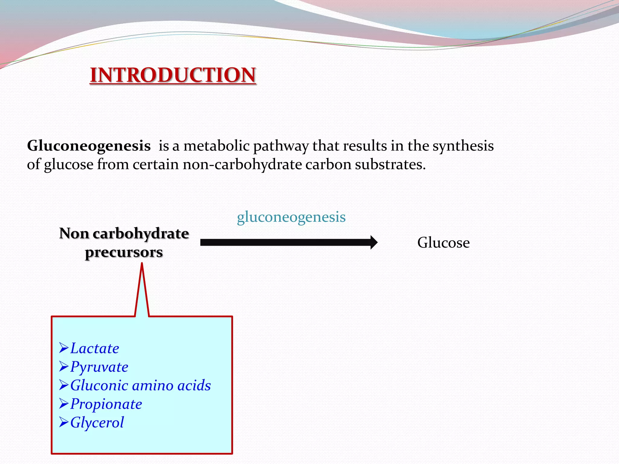 Gluconeogenesis | PPTX