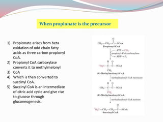 Gluconeogenesis | PPTX
