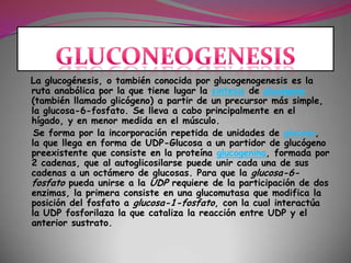 Gluconeogenesis | PPTX