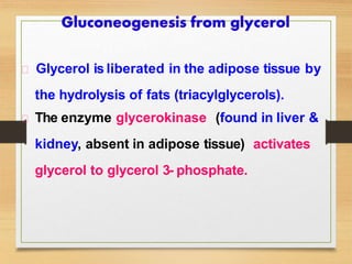 Gluconeogenesis .Gluconeogenesis reaction | PPTX