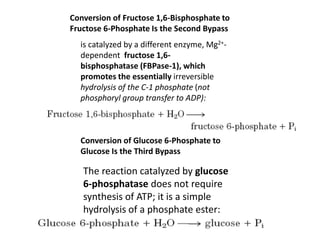 Gluconeogenesis | PPTX