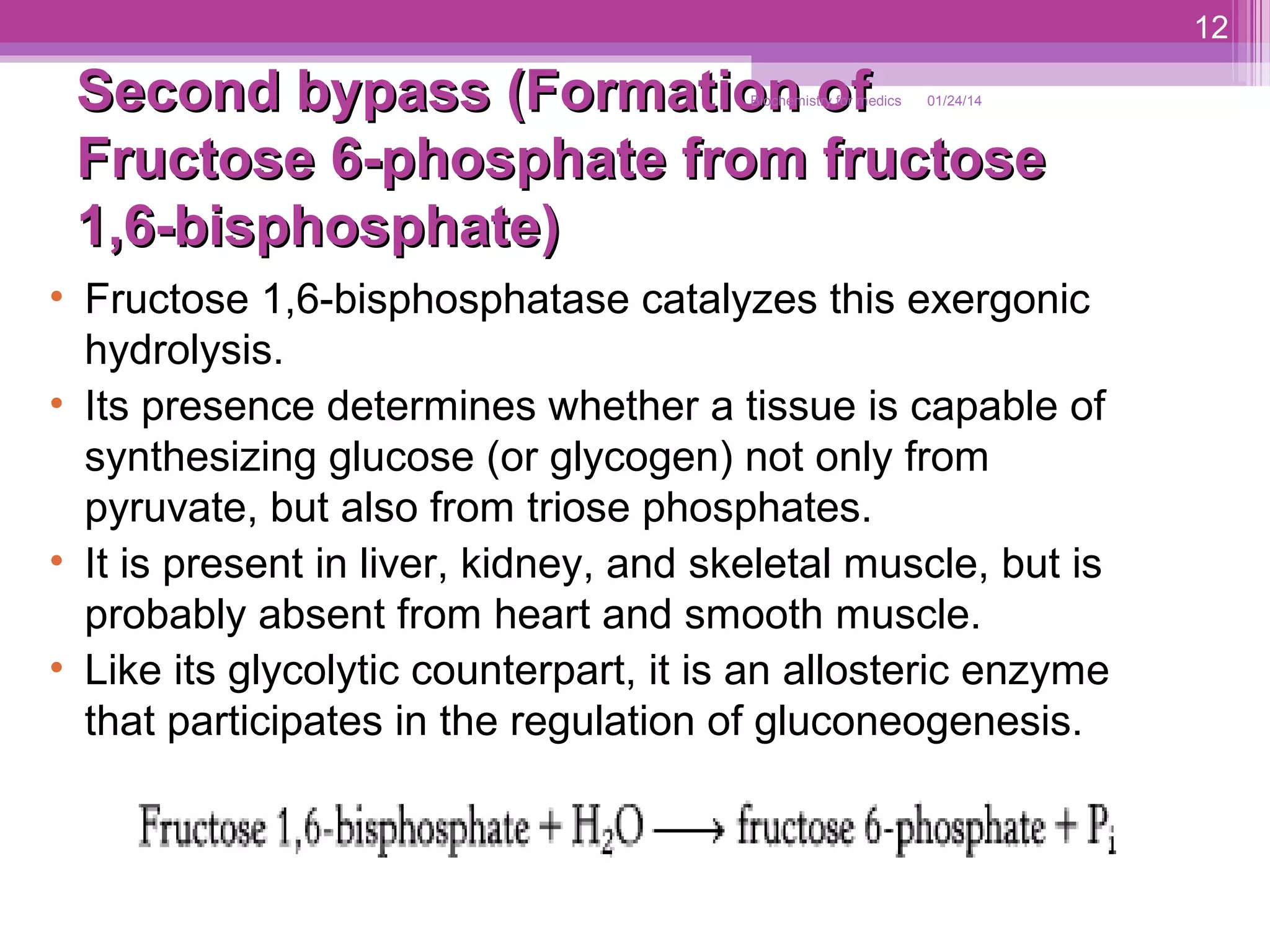 Gluconeogenesis- Steps, Regulation and clinical significance | PPT