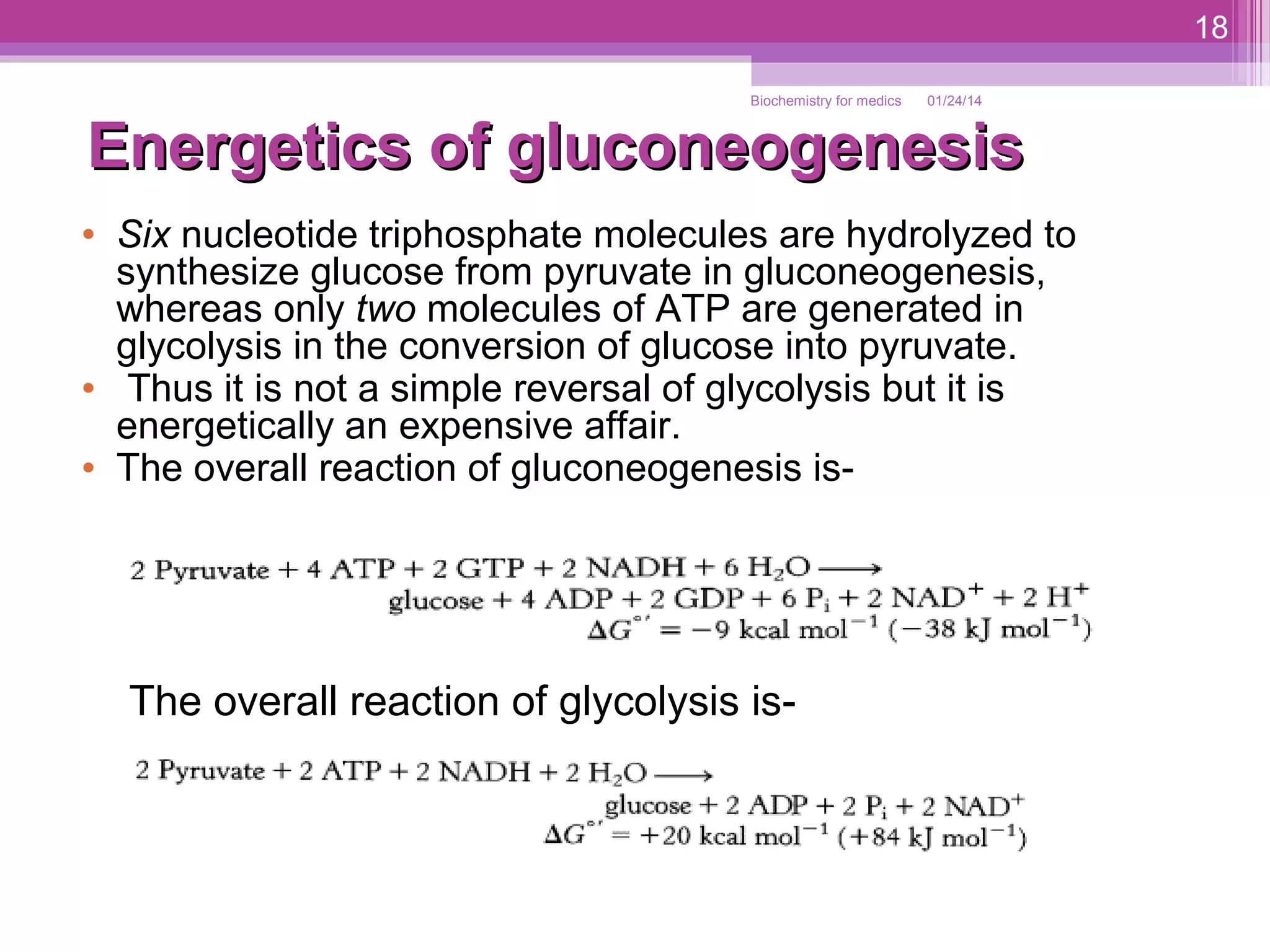 Gluconeogenesis- Steps, Regulation and clinical significance | PPT