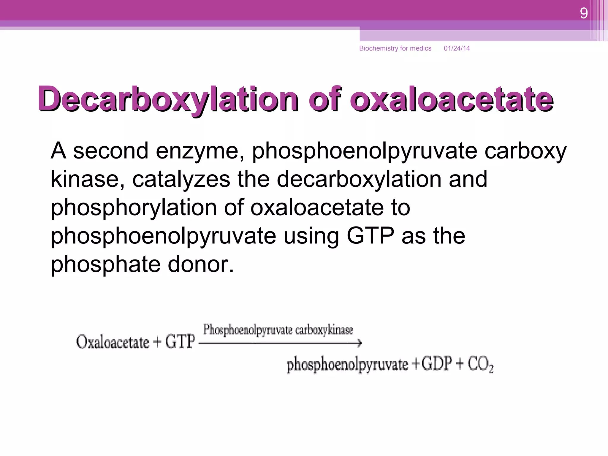 Gluconeogenesis- Steps, Regulation and clinical significance | PPT