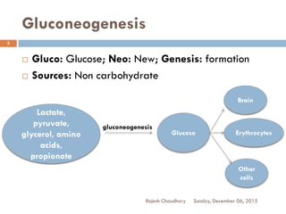 Gluconeogenesis | PDF