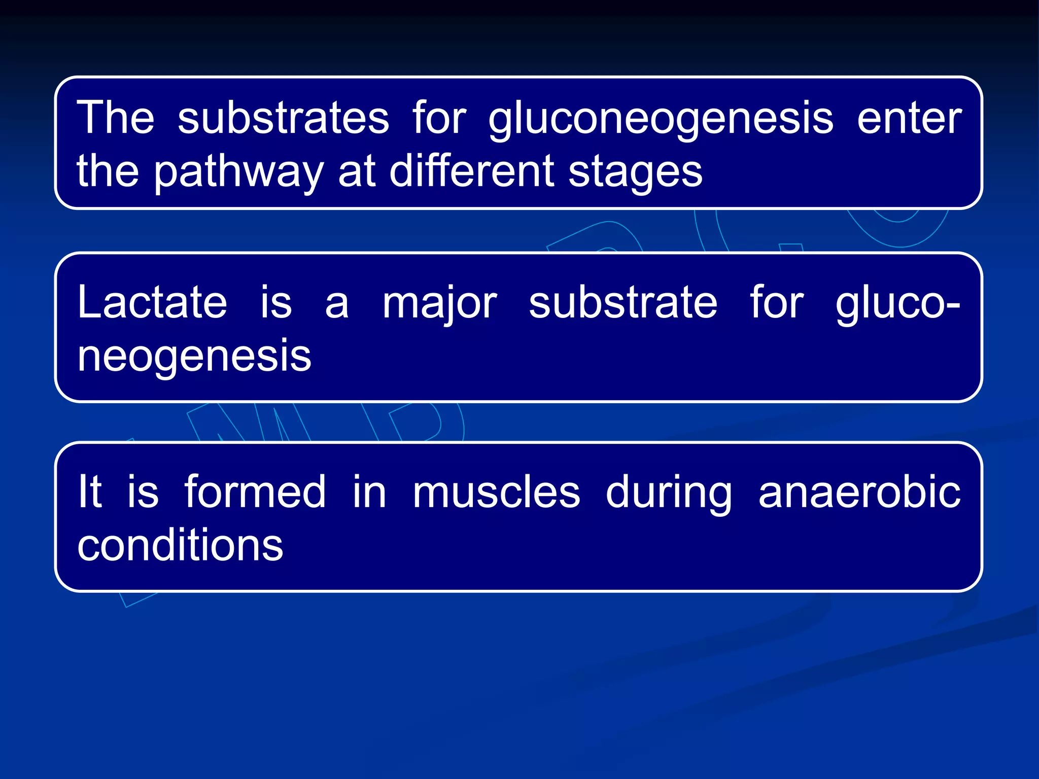 Gluconeogenesis | PPTX