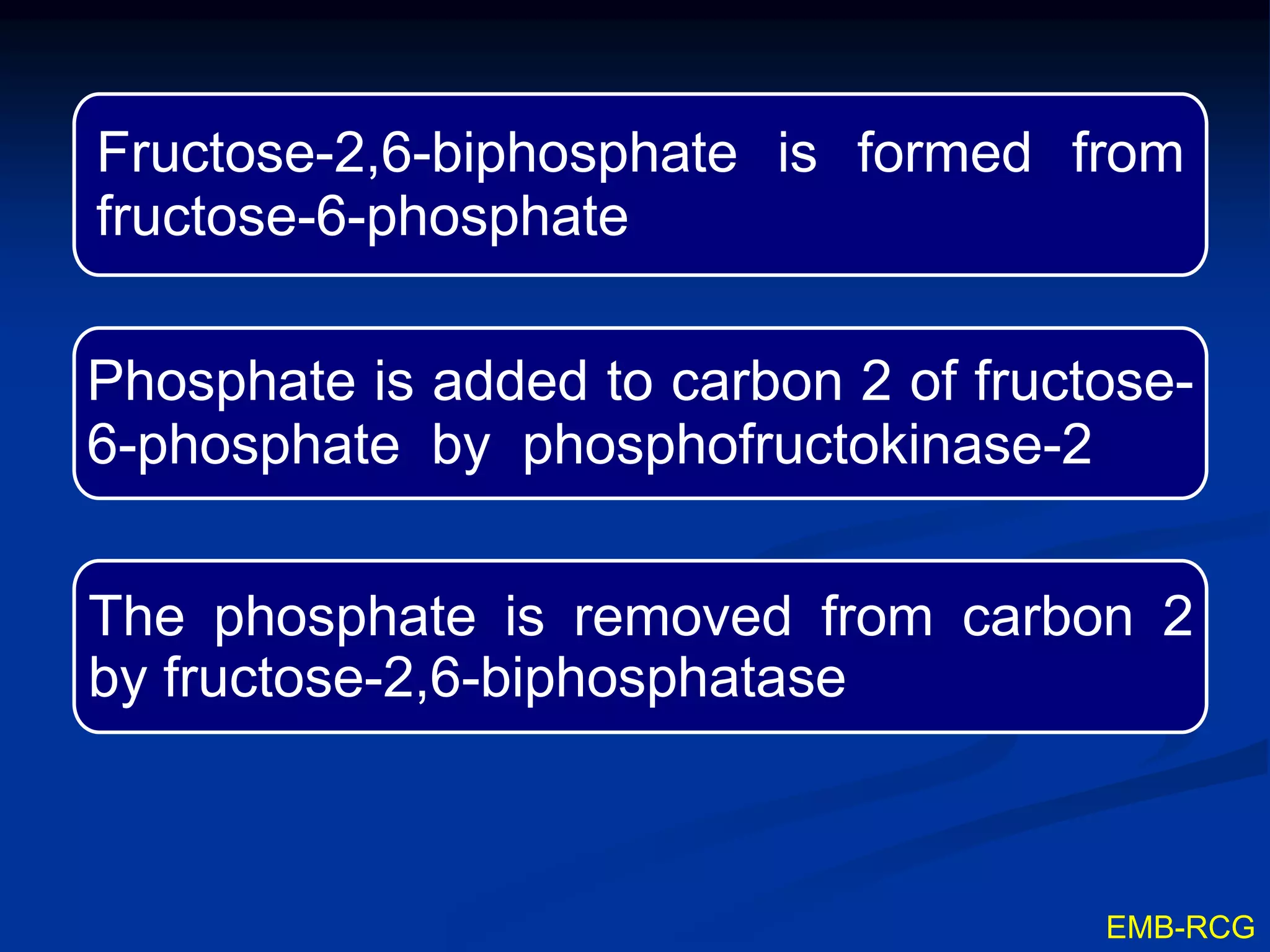 Gluconeogenesis | PPTX