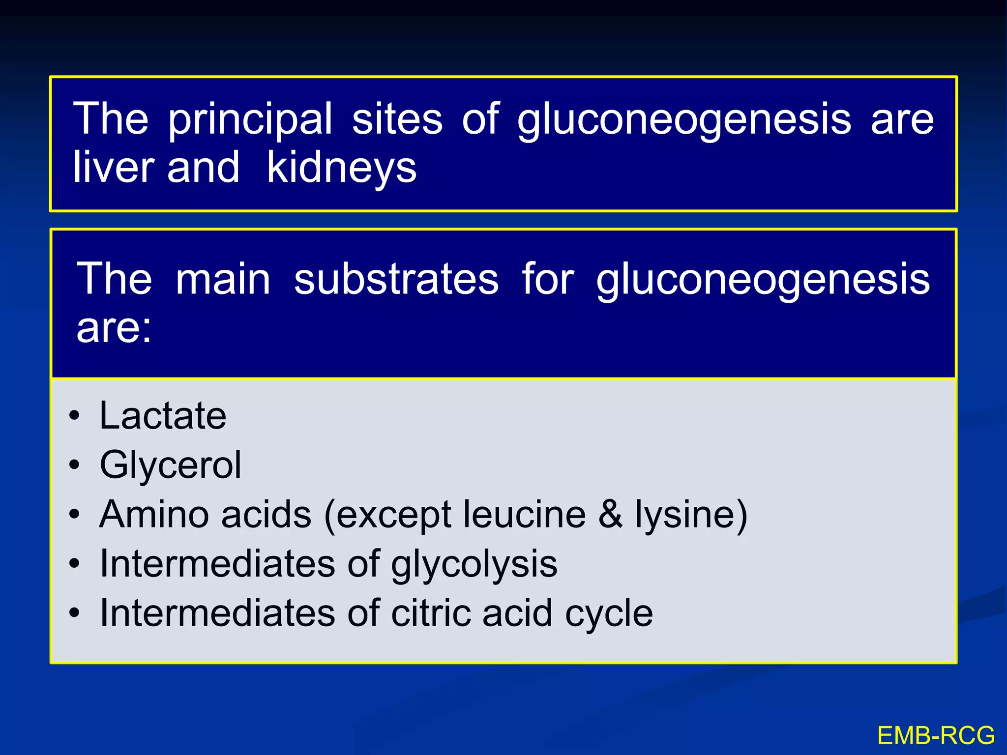 Gluconeogenesis | PPTX