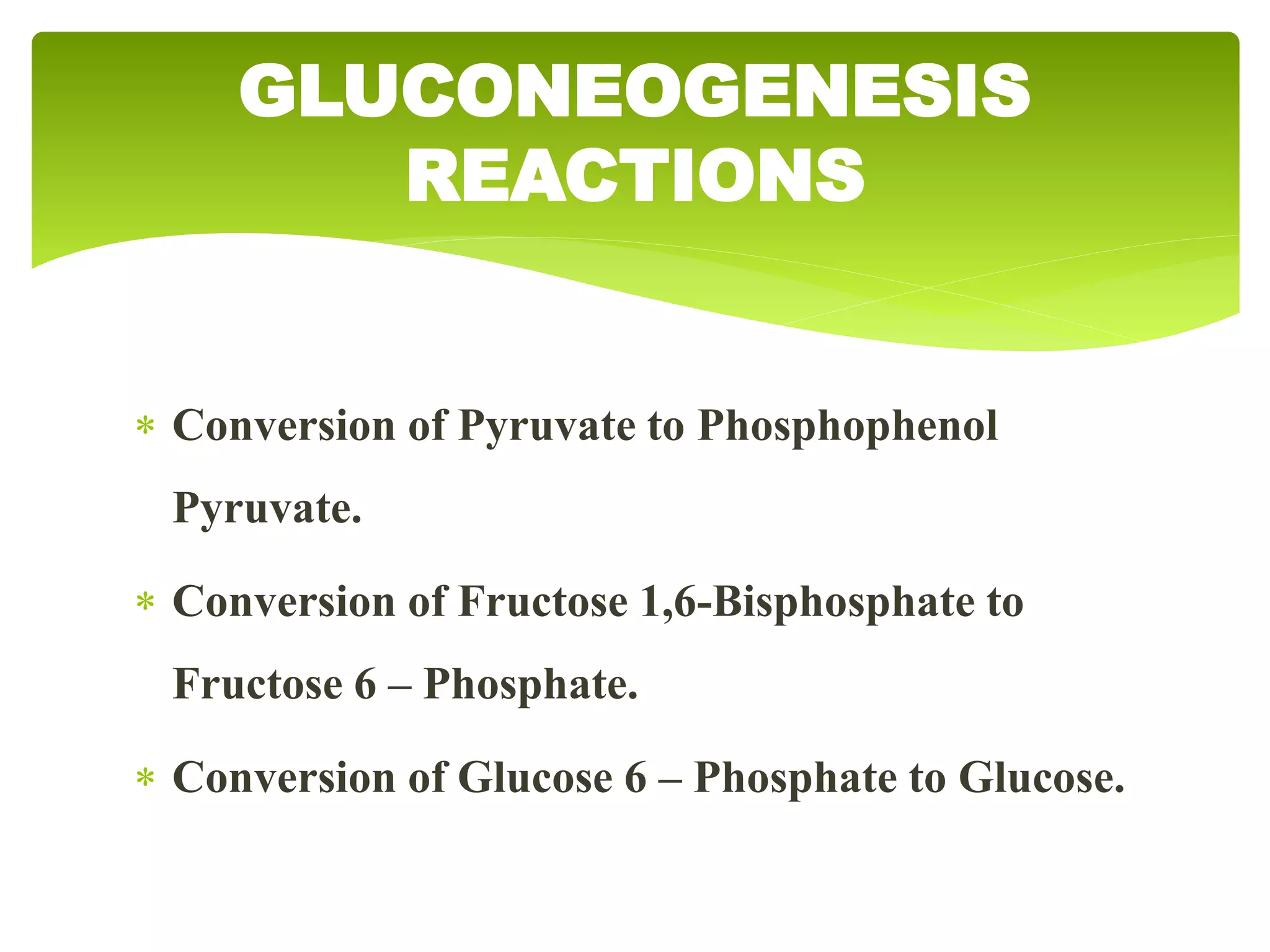Gluconeogenesis | PPTX