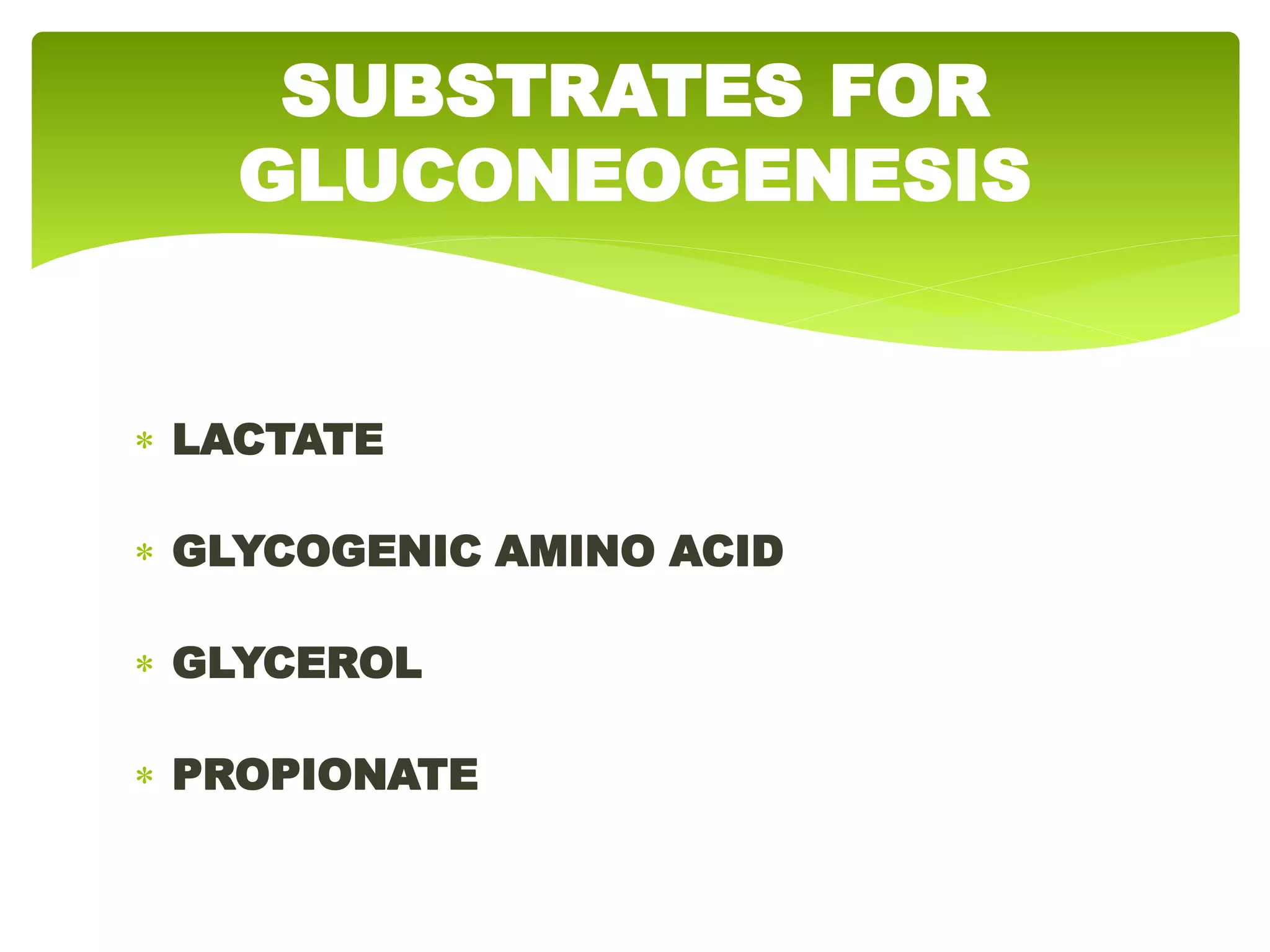 Gluconeogenesis | PPTX