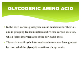 Gluconeogenesis | PPTX