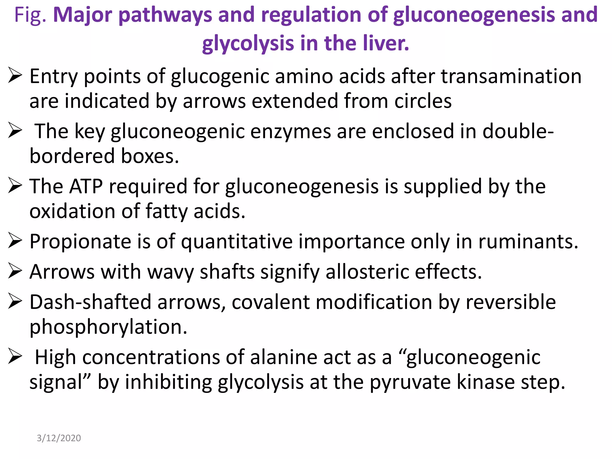 Gluconeogenesis | PPTX