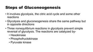 Gluconeogenesis | PPTX