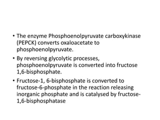 GLUCONEOGENESIS.pptx
