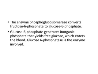 GLUCONEOGENESIS.pptx
