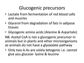 Gluconeogenesis.presentation slides ptx | PPTX