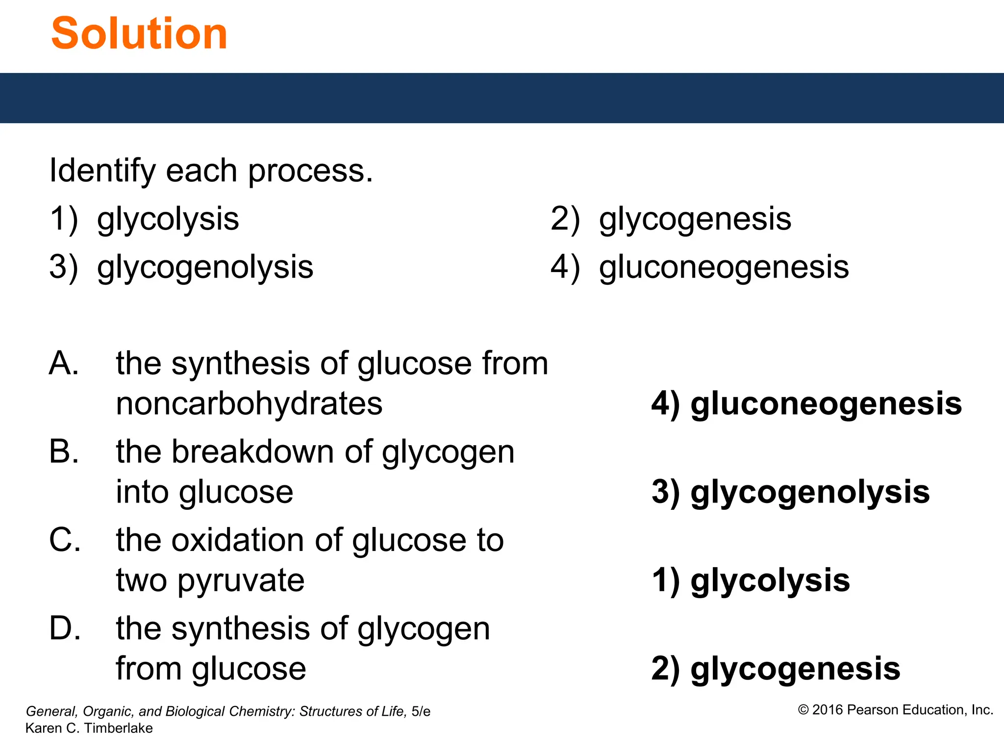 gluconeogenesis Glucose Synthesis .pptx