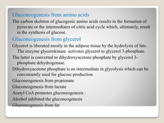 CARBOHYDRES METOBALISM GLUCONEOGENESIS. | PPTX