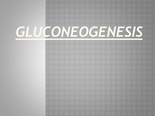gluconeogenesis by Mam Ayesha UOL .pptx