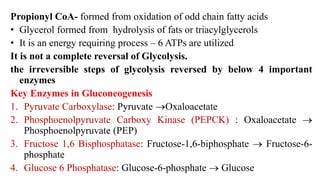 Gluconeogenesis Pathway and various sources of gluconeogenesis | PDF