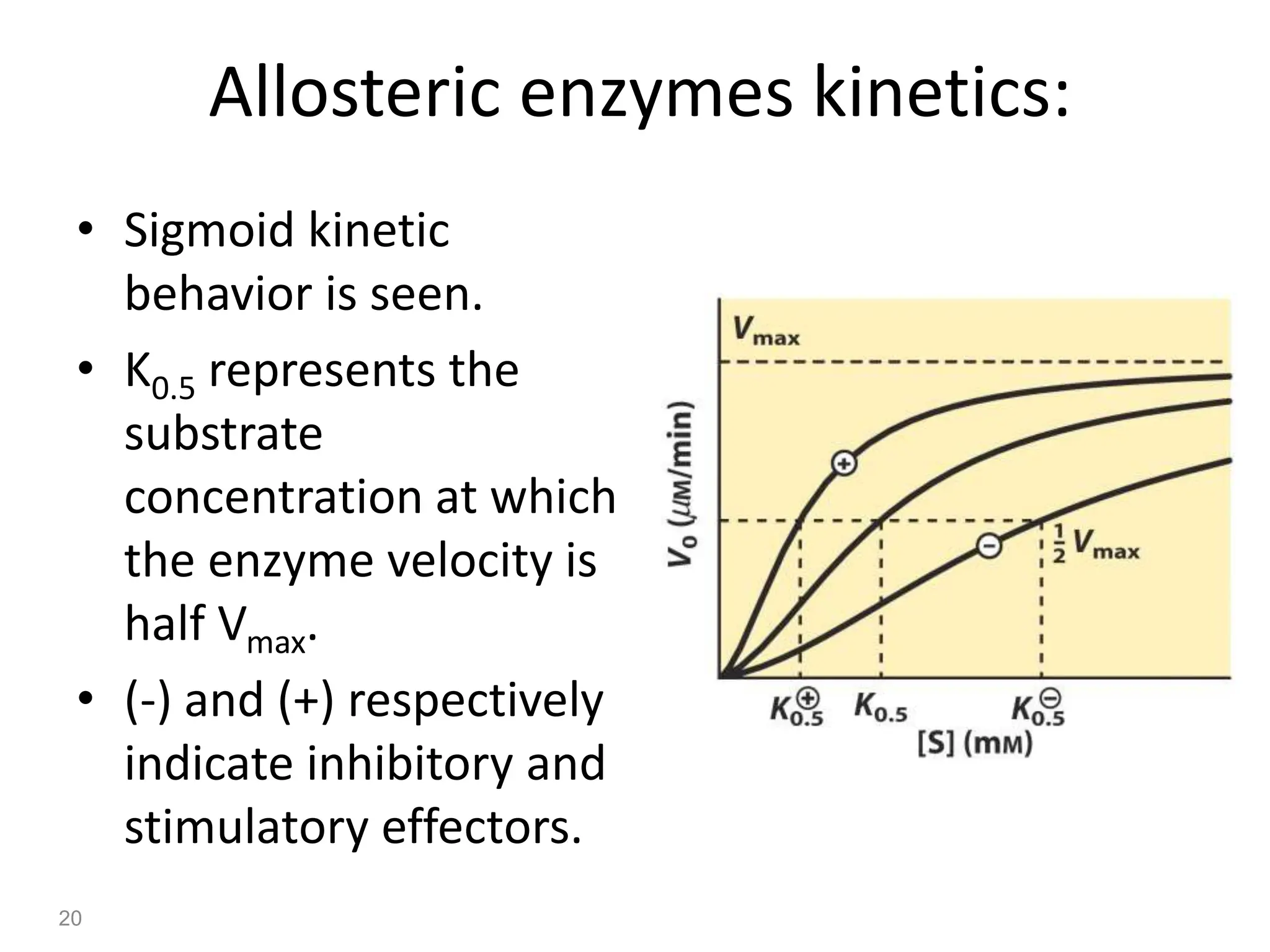 GLUCONEOGENESIS 2.ppt