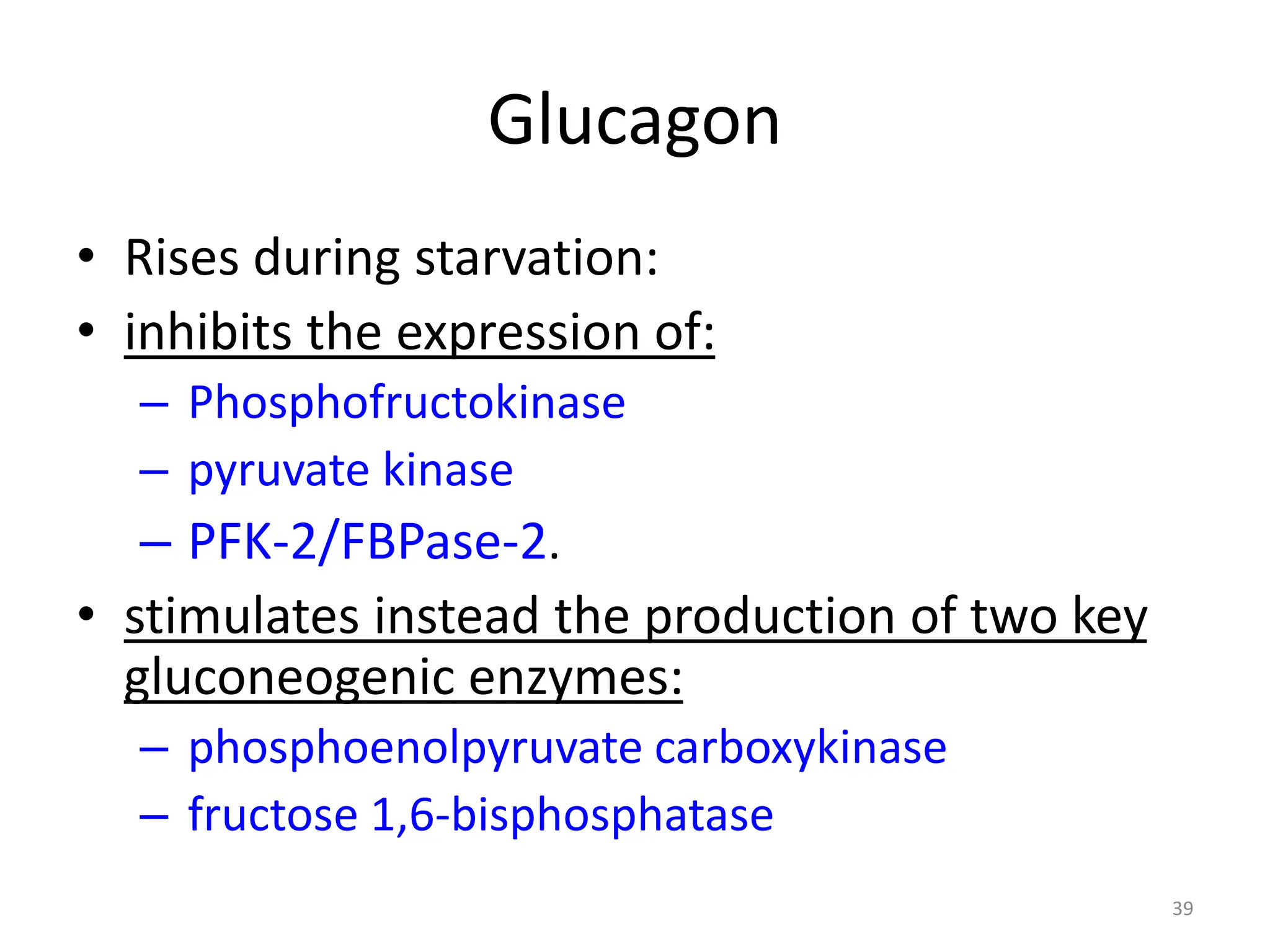 GLUCONEOGENESIS 2.ppt