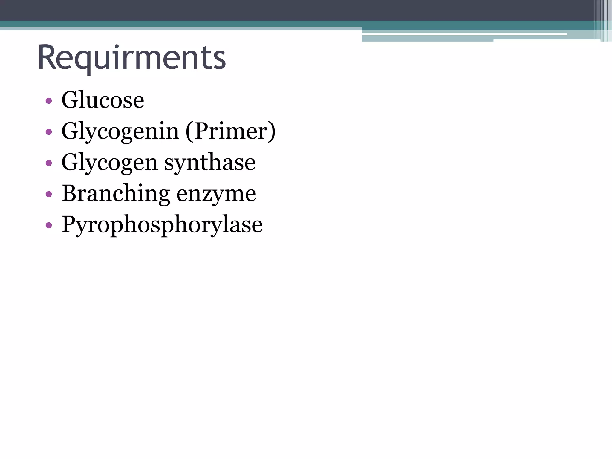 Gluconeogenesis and glycogen metabolism | PPTX