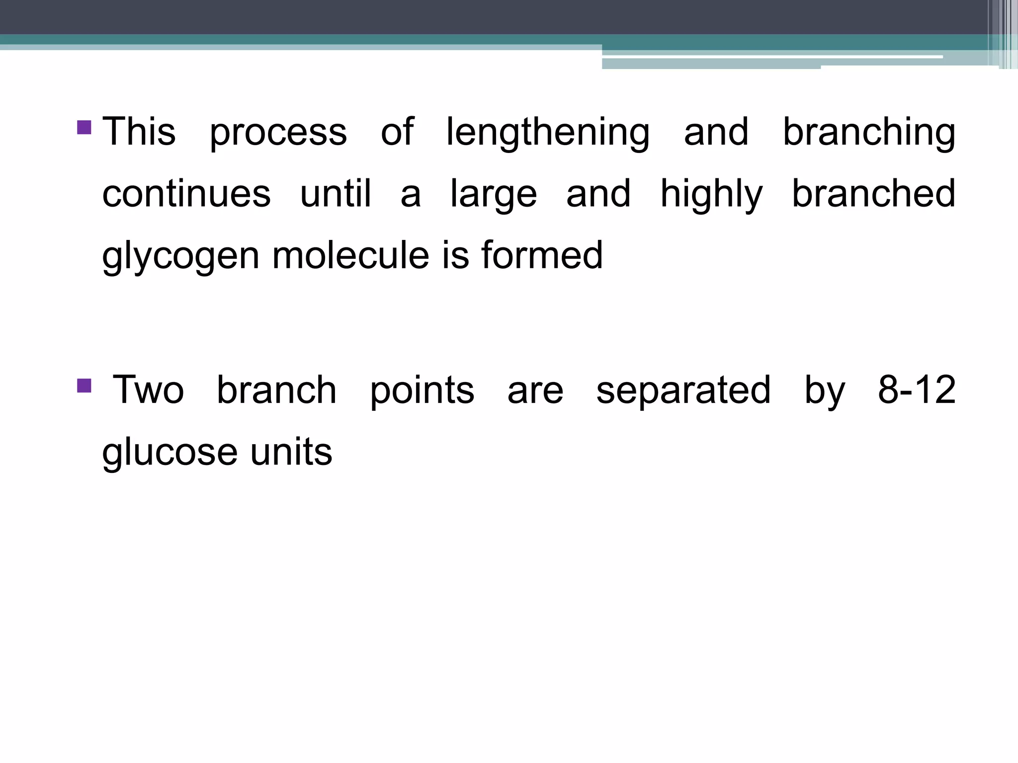 Gluconeogenesis and glycogen metabolism | PPTX