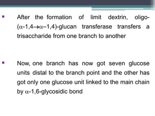 Gluconeogenesis and glycogen metabolism | PPTX