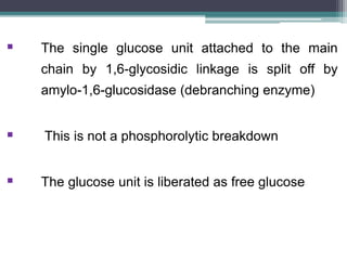 Gluconeogenesis and glycogen metabolism | PPTX