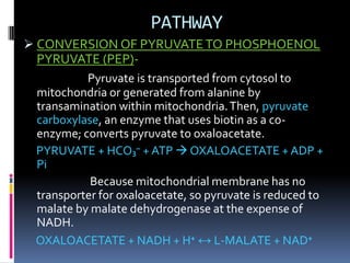 Gluconeogenesis and glycogenolysis | PPTX