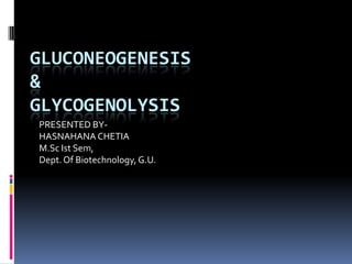 Gluconeogenesis Animation