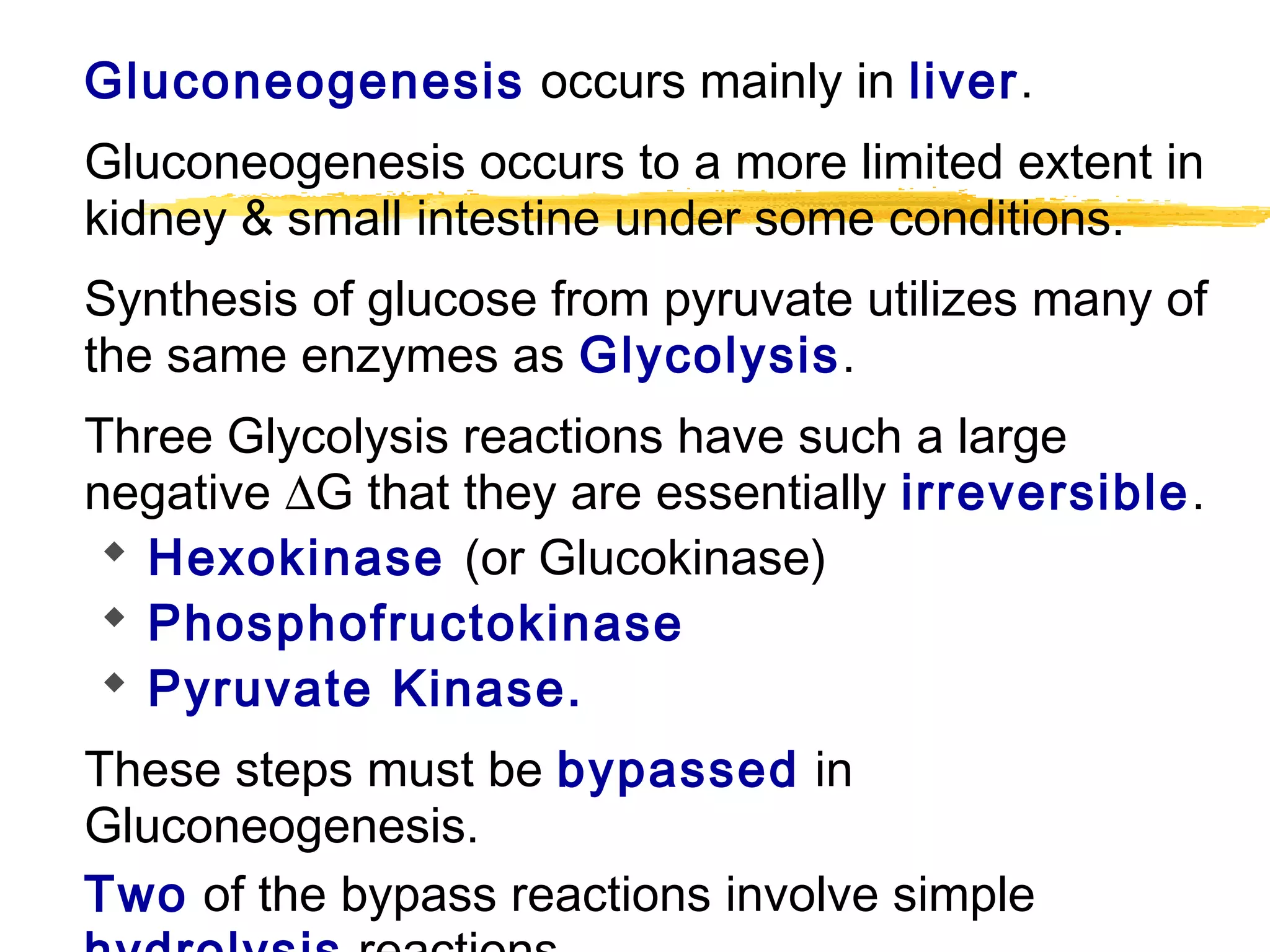 Gluconeogenesis for medical school | PPT