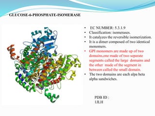 Gluconeogenesis ppt | PPTX | Endocrine and Metabolic Diseases ...