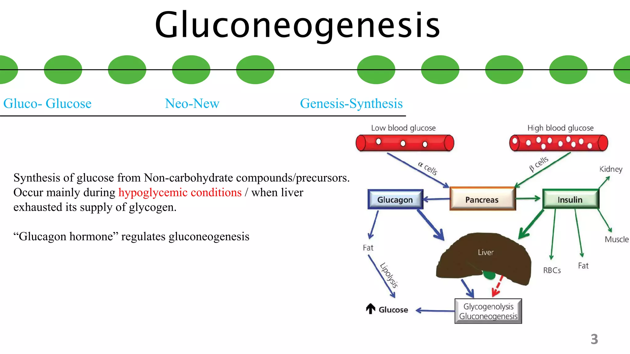 Gluconeogenesis .pptx