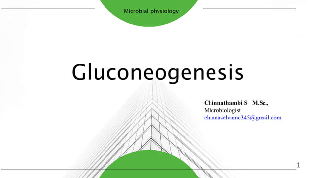 Gluconeogenesis .pptx