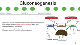 Gluconeogenesis .pptx