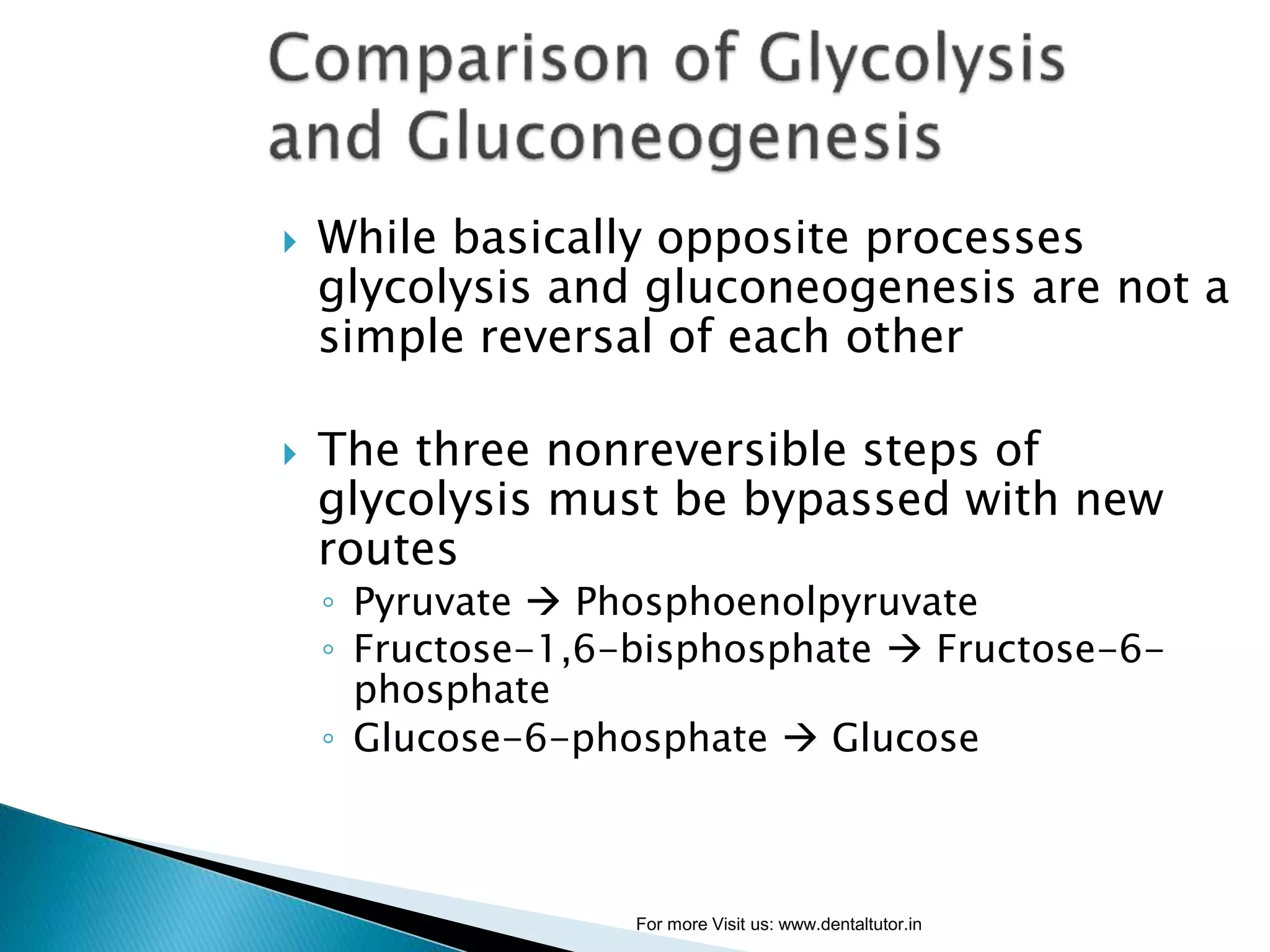 Gluconeogenesis | PPTX