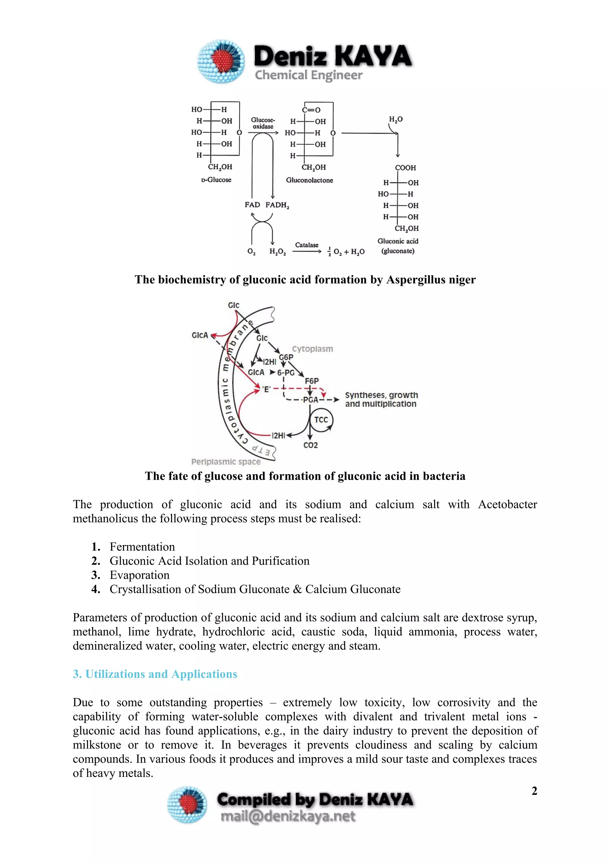 Gluconic Acid | DOC