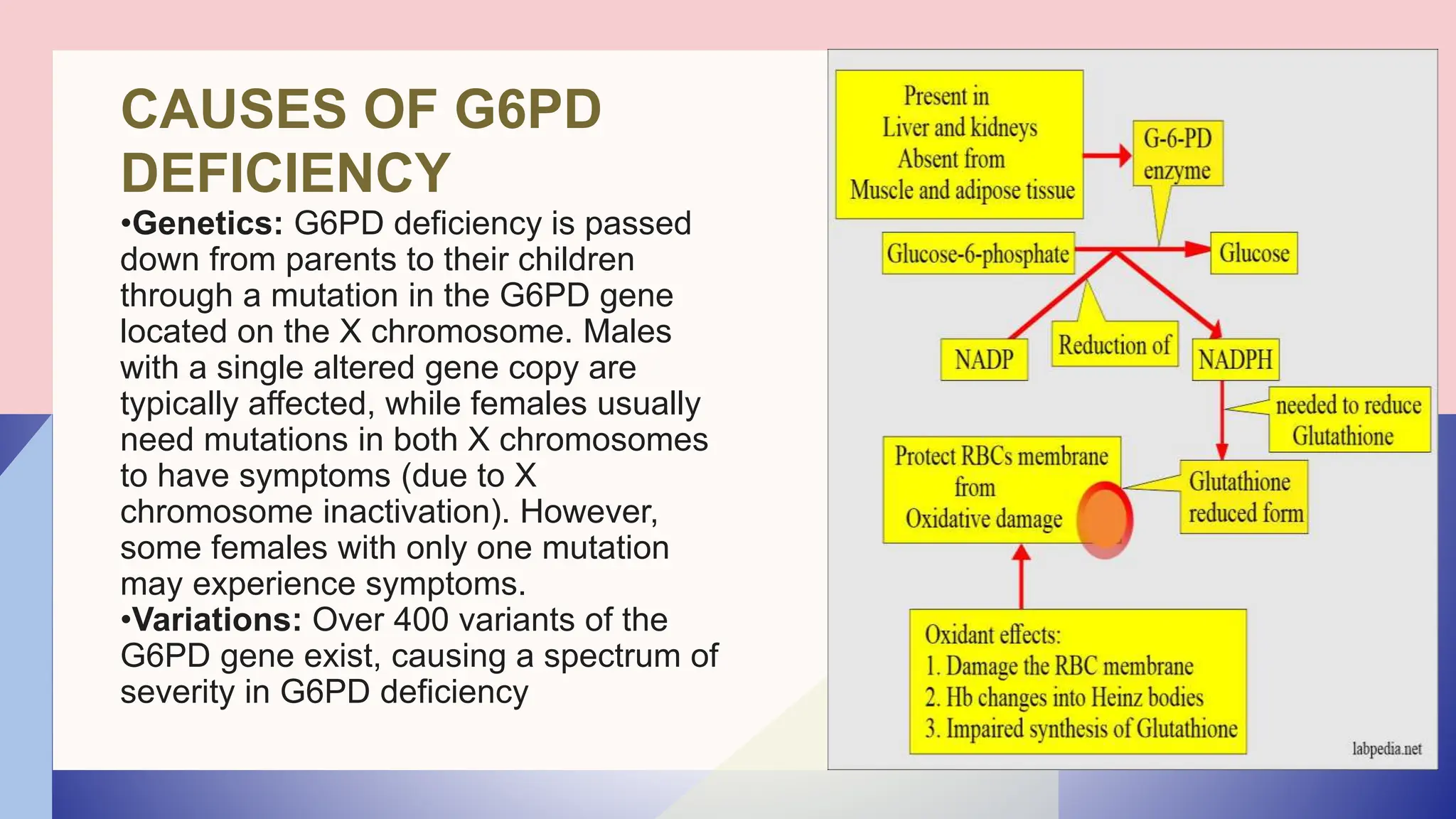 glucose-6-phosphate dehydrogenase (G6PD) Deficiency.pptx
