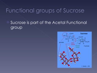 Glucose And Sucrose | PPT
