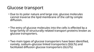 GLUCOSE METABOLISM AND CONTROL IN NEONATES | PPTX