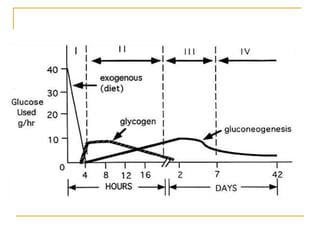 Glucose Homeostasis | PPT