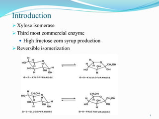 Glucose isomerase | PPTX