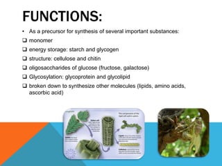 GLUCOSE | PPTX