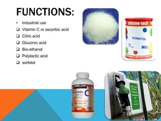 GLUCOSE | PPTX