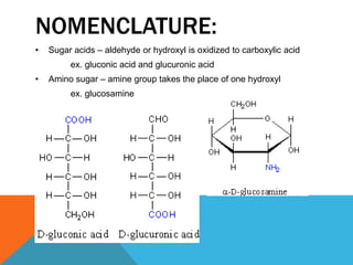 GLUCOSE | PPTX