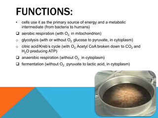 GLUCOSE | PPTX