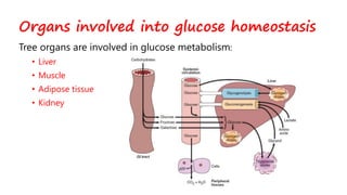 Glucose metabolism.pptx