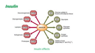 Glucose metabolism.pptx